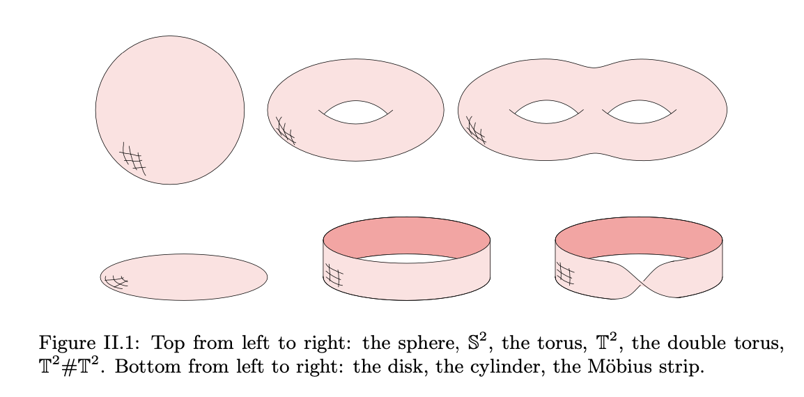 Simplicial Complexes